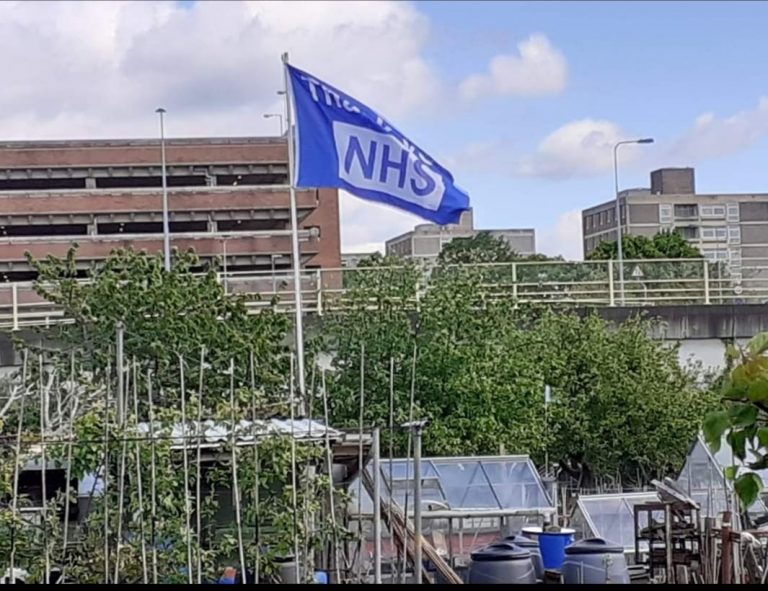 Allensbank Allotment’s Fundraising for the NHS | Cardiff & Vale Health ...