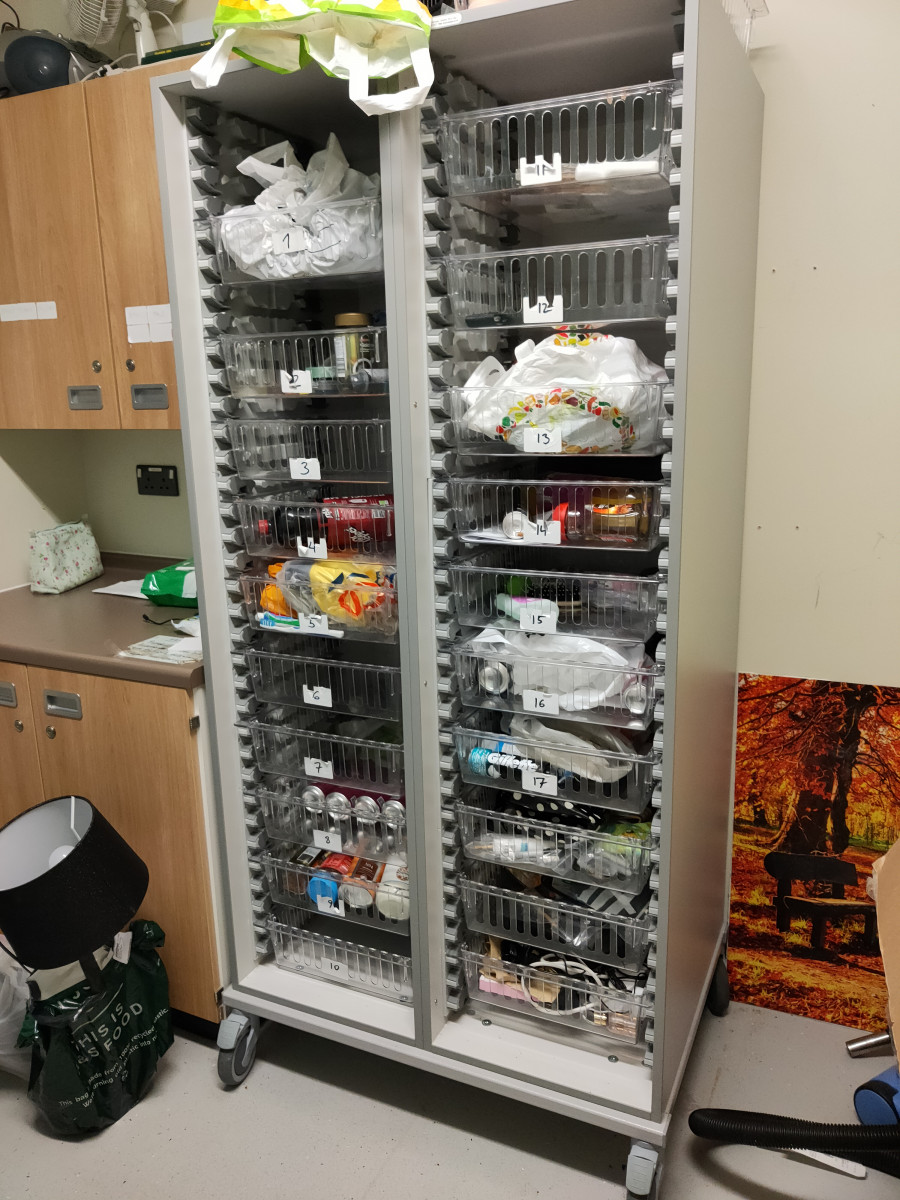 Furnishing a Skype Room for Willow Ward during the COVID-19 Pandemic ...