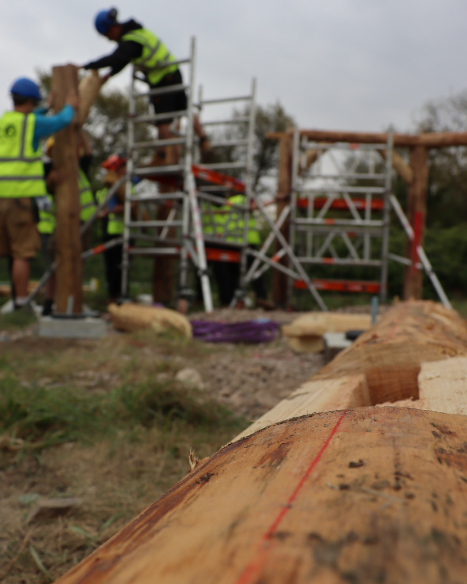 Our Health Meadow is runner-up in NHS Forest Awards | Cardiff & Vale ...