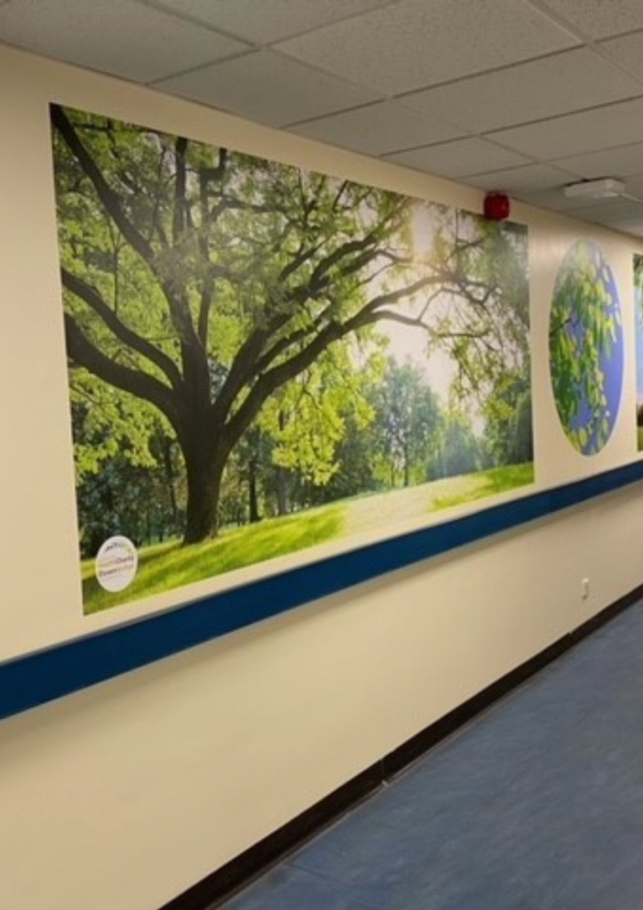 Improving Health Environments | Cardiff & Vale Health Charity