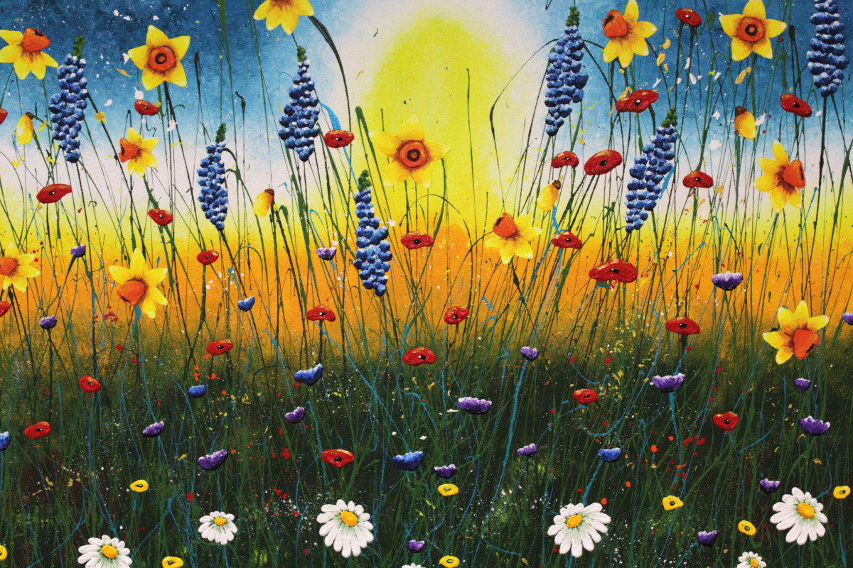 ‘Vibrant Meadows’ - Exhibition by Rachel Hannah | Cardiff & Vale Health ...